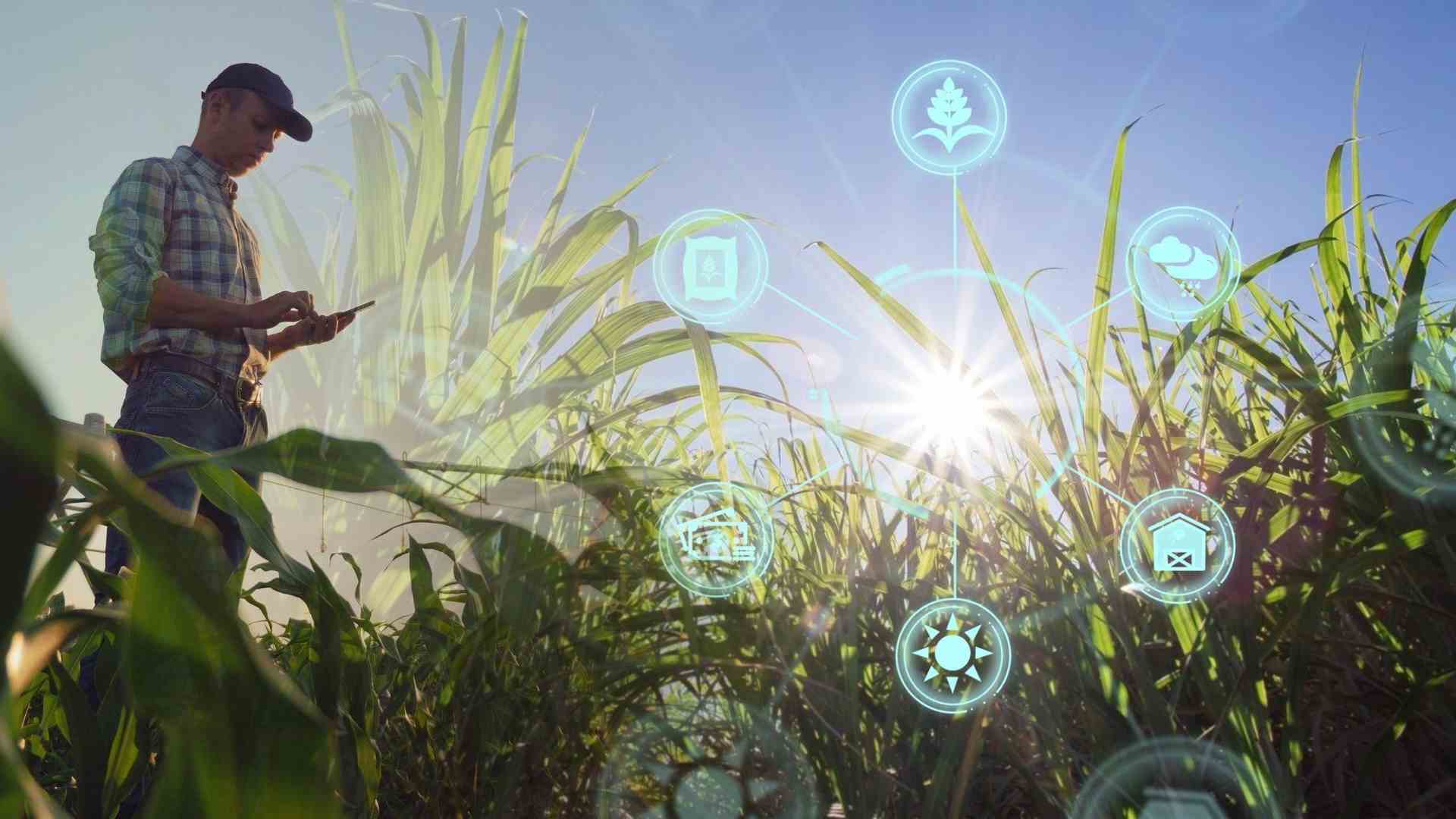 Johor state launches digital agro-food hub to uplift farming efficiency ...